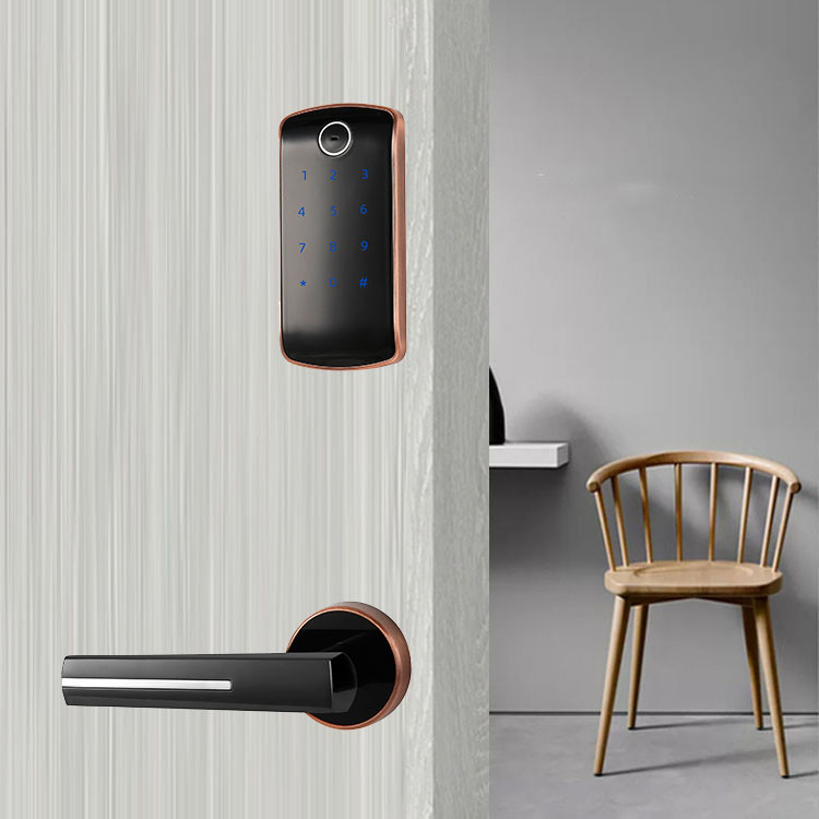 WiFi Password Door Locks ANSI Touch Screen Keypad Door Lock